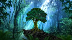 Tree Wisdom | Insights into Lessons and Beatitudes of Trees