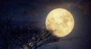Types of Full Moons - Whats-Your-Sign.com