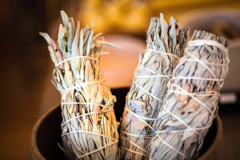 Types of Smudge Sticks You’ll Love for Cleansing - Whats-Your-Sign.com