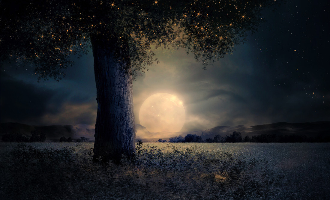 Full Moon of May Meaning: It’s a Blooming Big Deal - Whats-Your-Sign.com