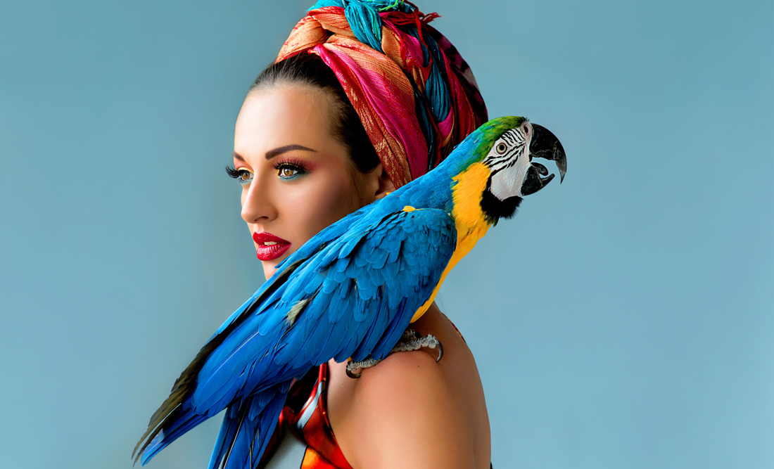 7 Myths About Animal Guides - Whats-Your-Sign.com