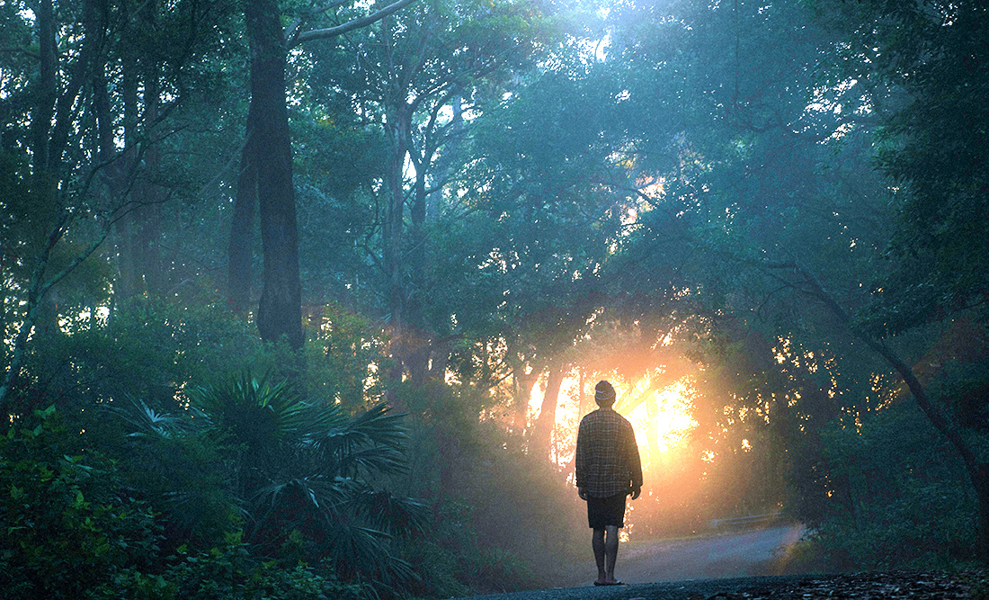 4 Ways To Feel More in Touch With Nature - Whats-Your-Sign.com