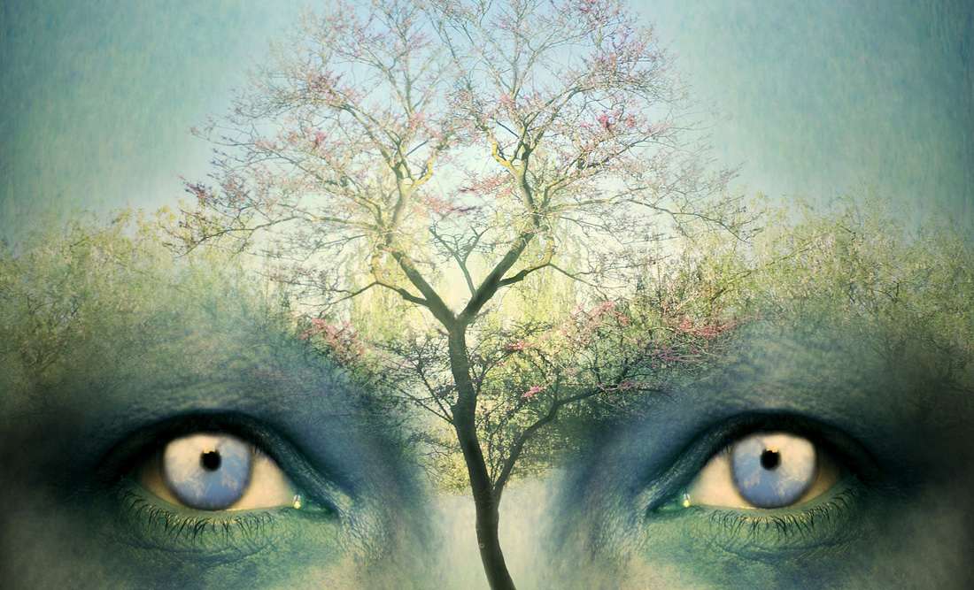 Ways to Become More Green-Minded - Whats-Your-Sign.com