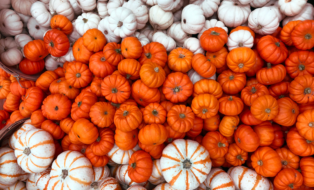 Symbolic Meaning of Pumpkins - Whats-Your-Sign.com