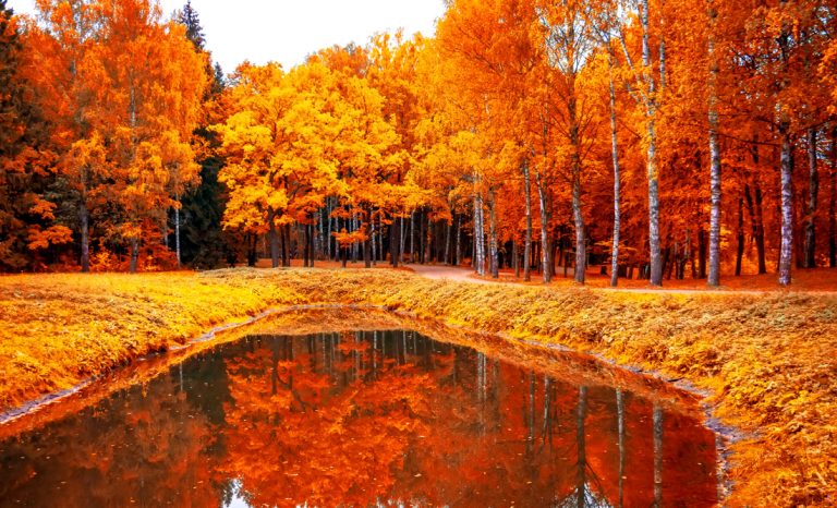 Signs and Symbolism of October - Whats-Your-Sign.com