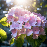 Symbolic Meaning of August - Whats-Your-Sign.com