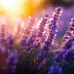 Symbolic Meaning of August - Whats-Your-Sign.com