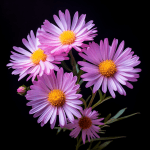 Symbolic and Spiritual Meaning of September - Whats-Your-Sign.com
