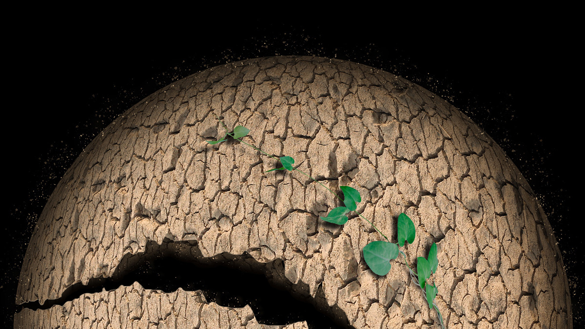 The Enduring Power and Influence of the Signs of the Zodiac - Whats ...