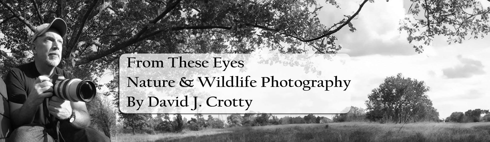 David-Crotty-Photography-Etsy-From-These-Eyes-Banner - Whats-Your-Sign.com
