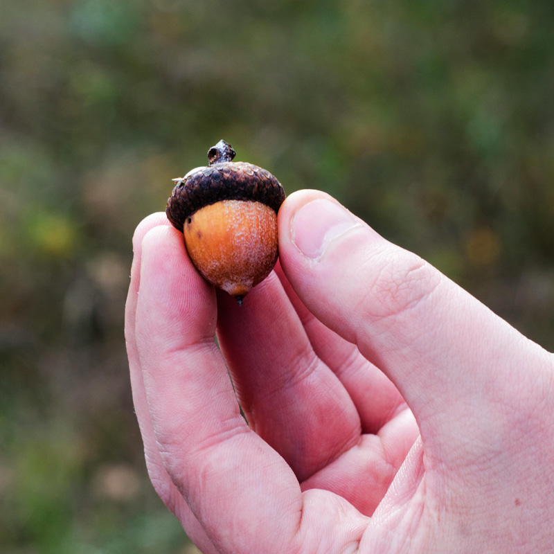 7 Lesser-Known Lucky Symbols and Their Meanings - Whats-Your-Sign.com