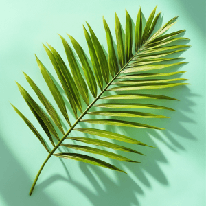 The Symbolic Meaning of Leaves: Nature's Whispering Messengers - Whats ...