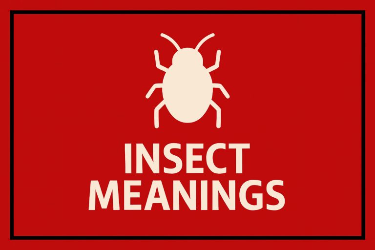 Insect-Symbolism-on-Whats-Your-Sign - Whats-Your-Sign.com