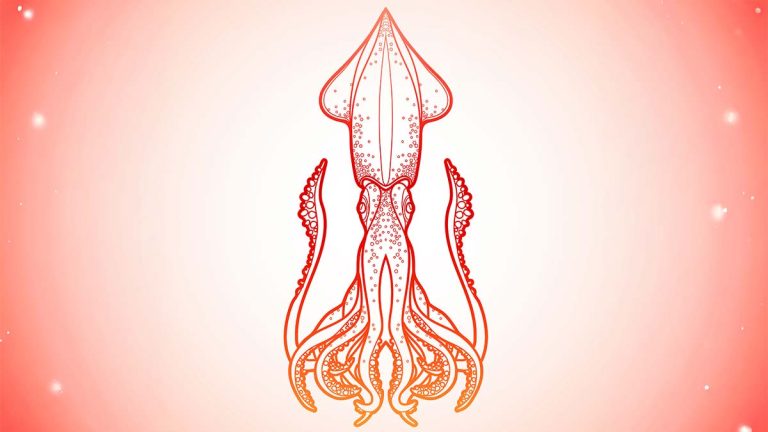 Diving Deep Into the Symbolic and Spiritual Meaning of the Squid ...