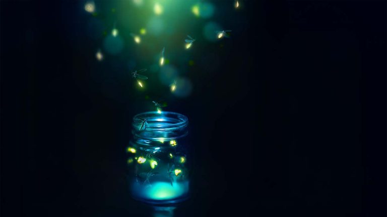 firefly-spiritual-meaning-and-cultural-significance - Whats-Your-Sign.com