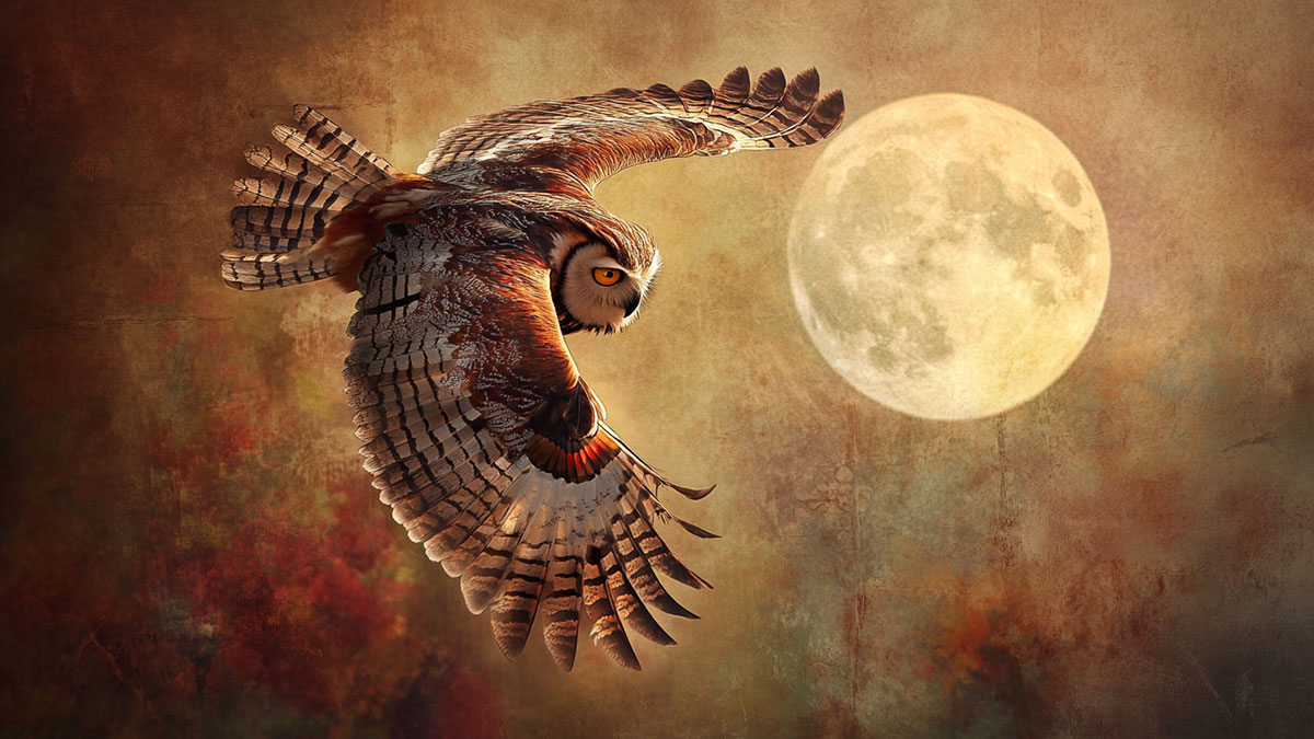 Owl Native American Zodiac Sign | Wisdom, Vision & Insight
